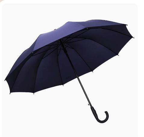 天堂自动雨伞石家庄图标