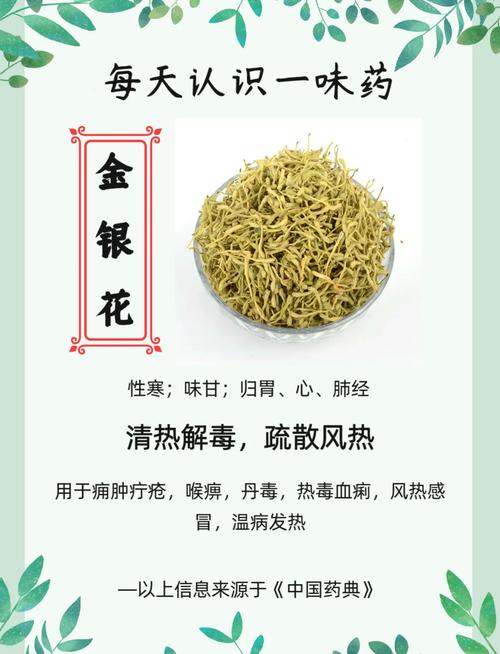 金银花的神奇功效图标
