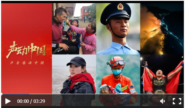 中国配音演员收入图标