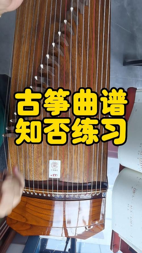 知否琵琶谱子D调图标