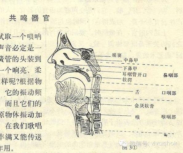 唱歌怎么发声是正确的