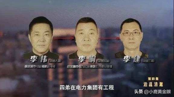 宁远李桐锦桐截图
