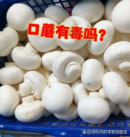 白色蘑菇叫什么图标
