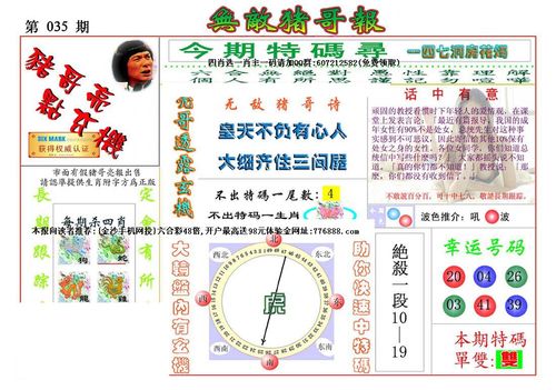 99228无敌猪哥报图标
