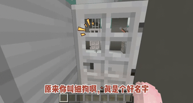 我的世界细狗改造记2