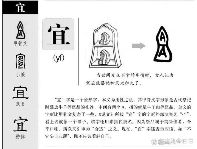 汉字解析截图