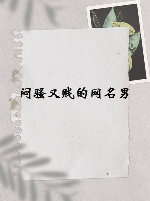 霸气闷骚男网名