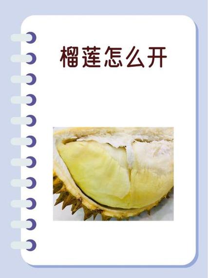 榴莲的正确打开方式图标