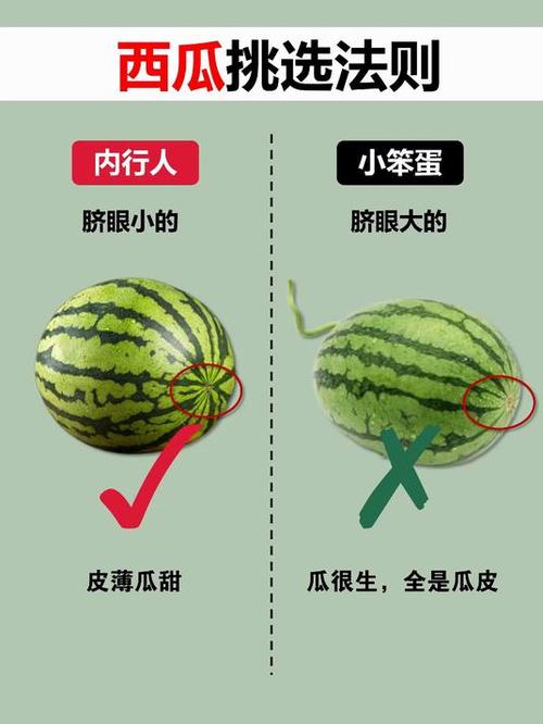 西瓜如何挑选图标
