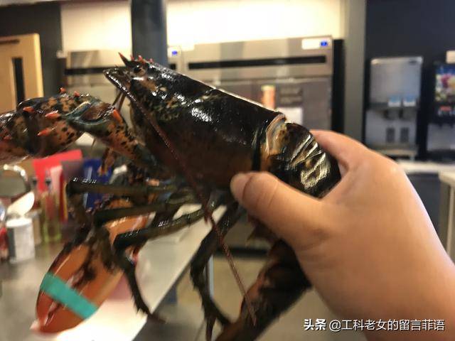 一镑多重截图