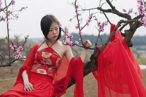 桃花村的女人笔趣阁图标