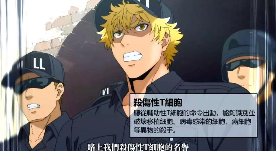 一口气看完工作细胞图标
