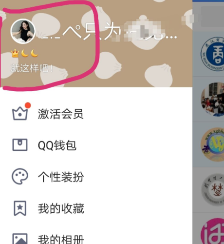 手机qq个人资料在哪里看图标