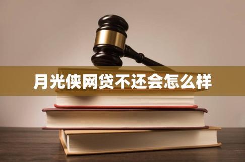 月光侠不还会怎么样