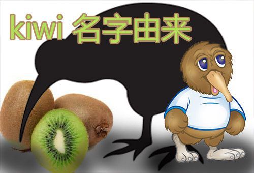 kiwi是什么意思中文截图
