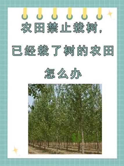 承包地栽树合法吗图标