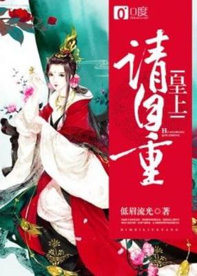 皇上请正经小说截图