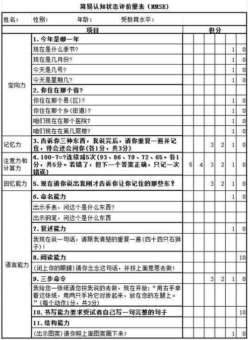 mmse量表免费下载截图