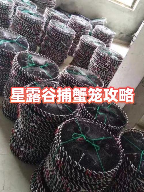 星露谷物语蟹笼放哪里比较好