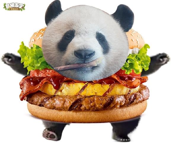 大熊猫的食物获取方法图标