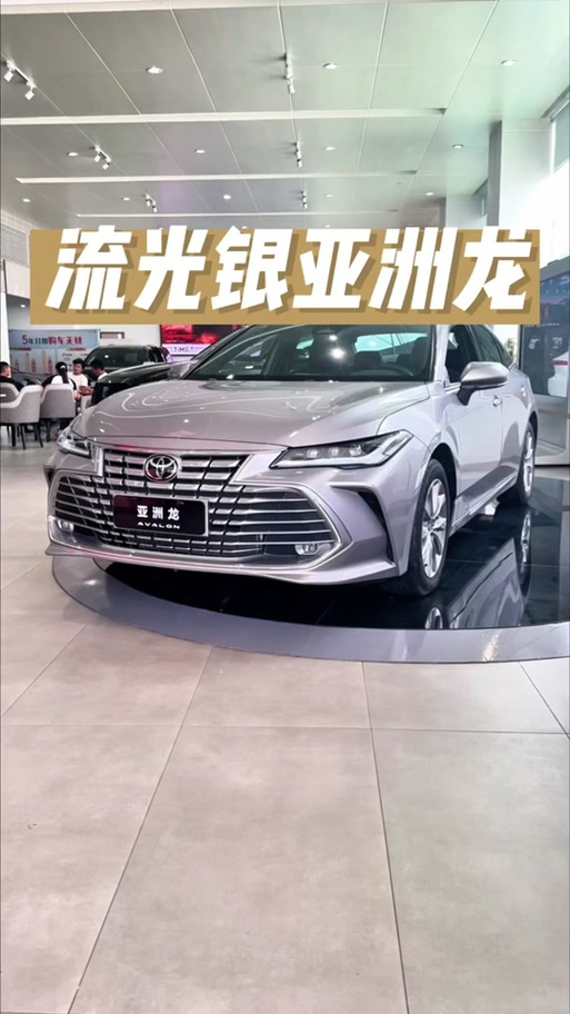 亚洲龙进取版截图