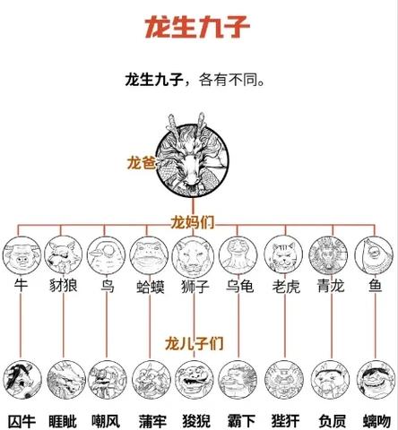 九龙生子各有不同
