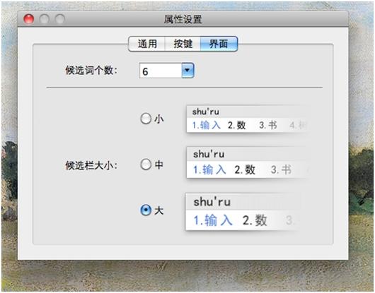qq输入法拼音显示截图