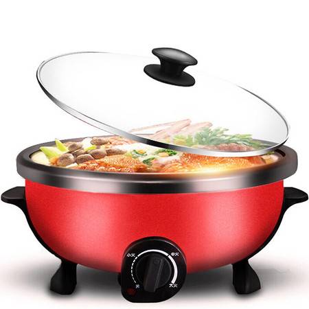 中国电火锅十大品牌图标