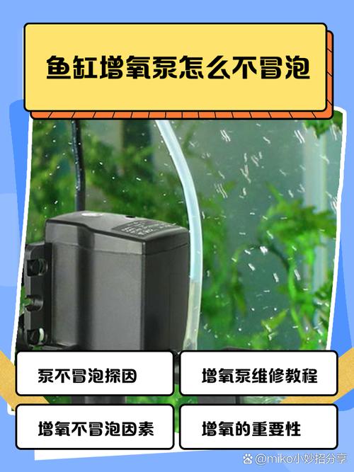 鱼缸每天增氧多久截图