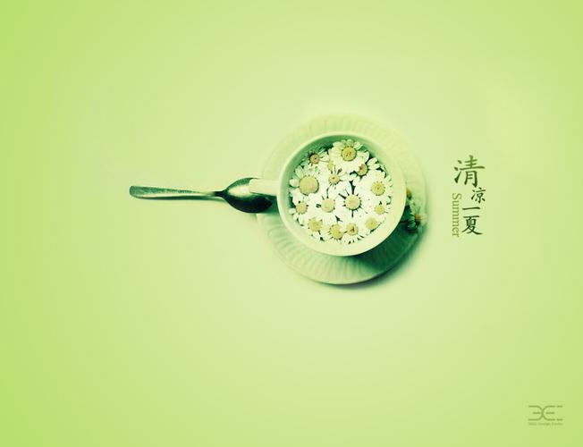 360壁纸电脑版图标