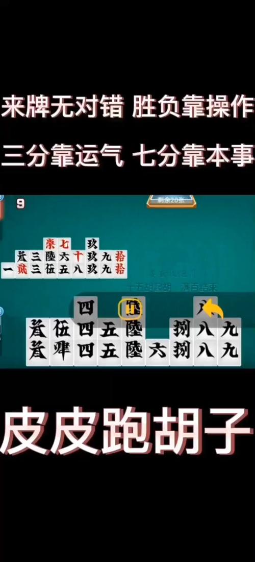 湖南皮皮跑胡子官网版图标