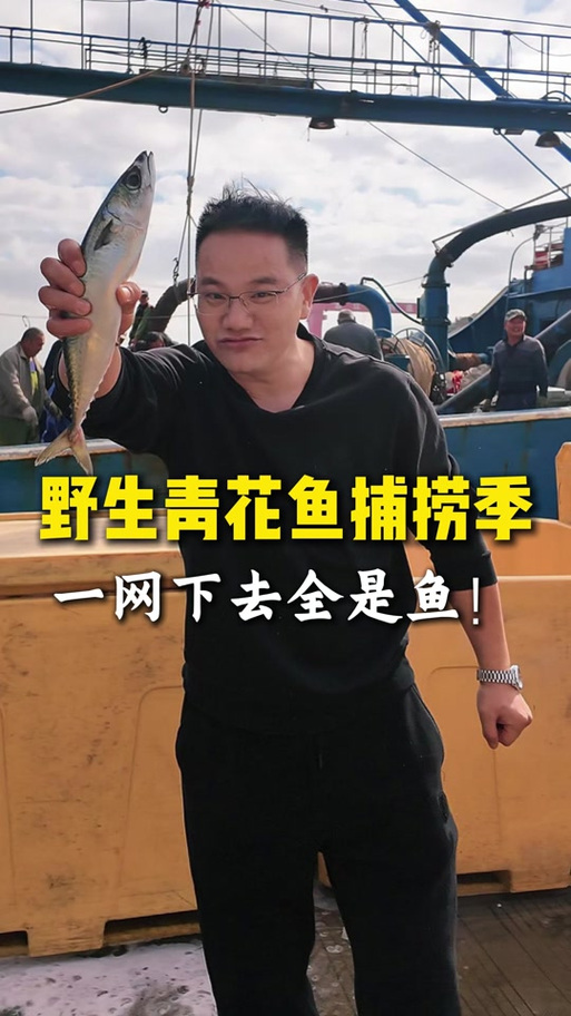 长佩青花鱼养殖交流论坛网址图标