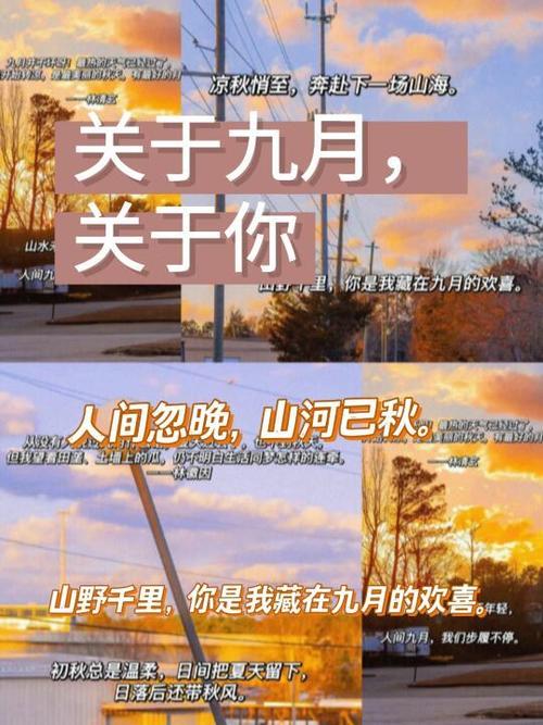 不期而至下一句图标