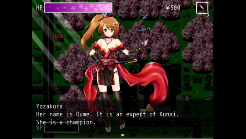 kunoichi trainer赞助商代码图标