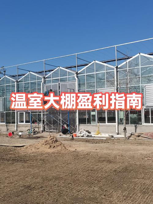 一个樱桃大棚一年赚多少钱截图
