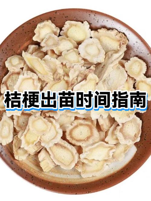 桔梗能治什么病图标