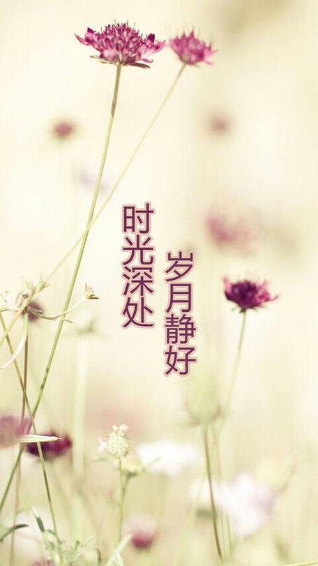 手机美图秀秀加时间图标