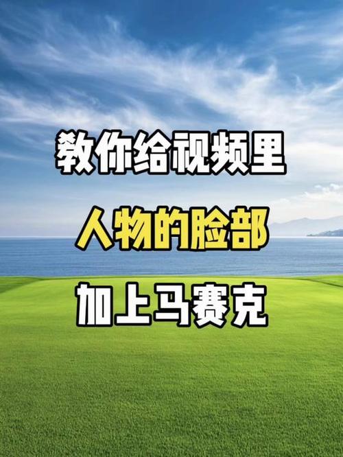 如何给视频脸部跟踪打马赛克图标