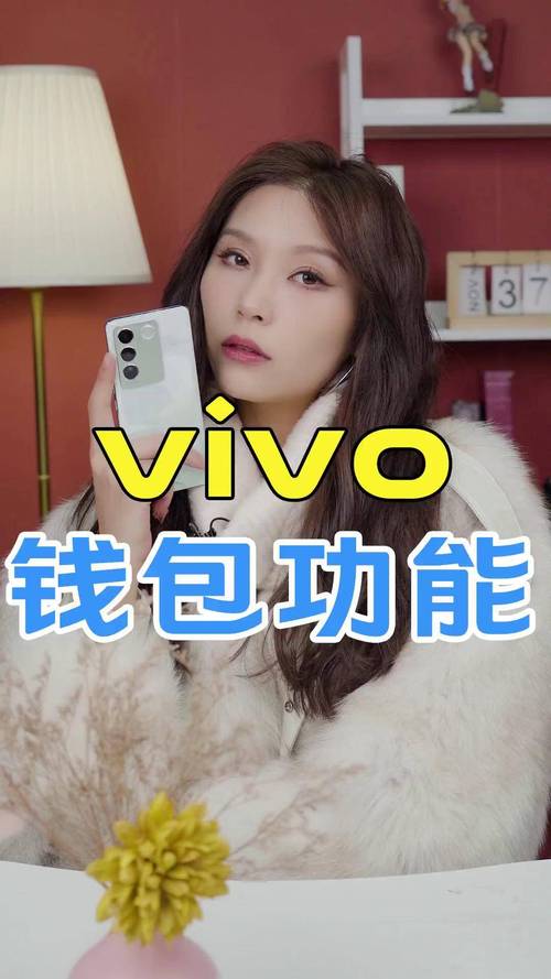 vivo账号更换身份证图标