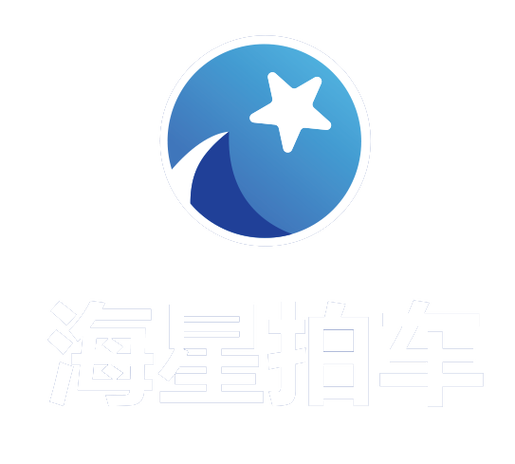 海星拍卖app下载安装截图