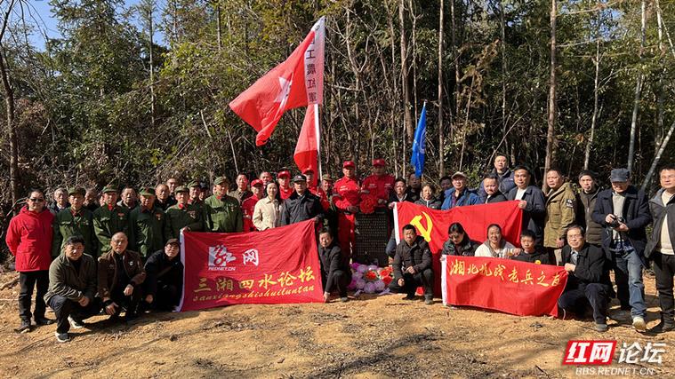 三湘四水红网论坛图标