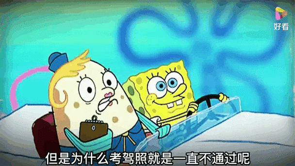 c1驾照笨的人能考吗图标