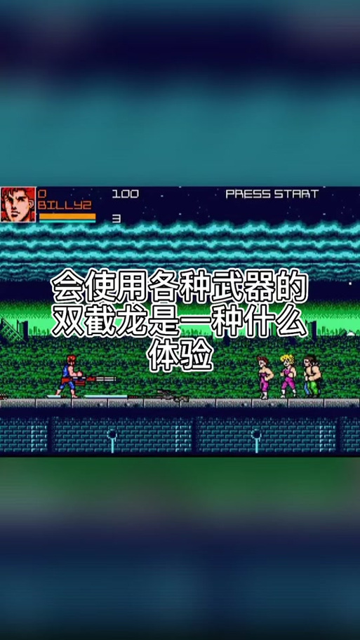 2023魔改双截龙截图
