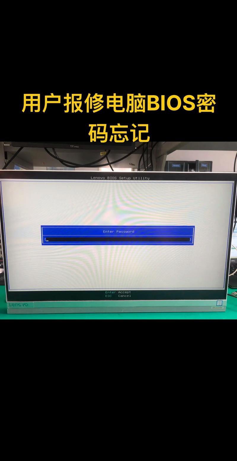 ikun直装v5破解图标