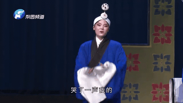 李天保娶亲全场越调图标