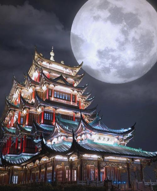 明月阁-明月论坛图标