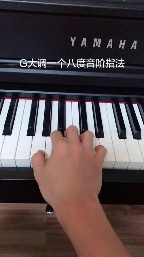 初步学钢琴入门教程截图