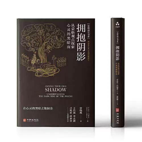 荣格心理学观点截图