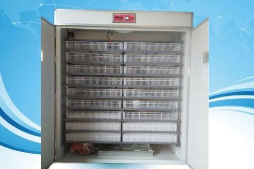 养殖场自动孵化器品牌出口截图