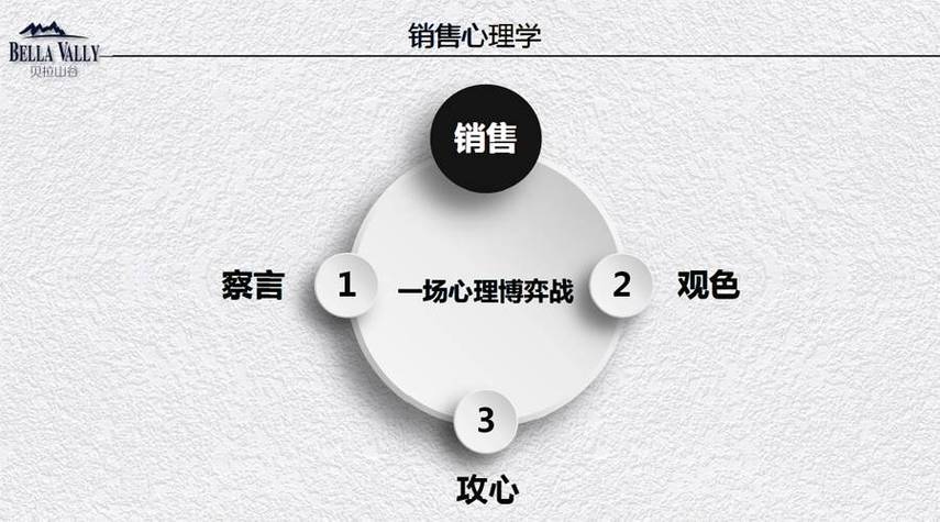 顶尖销售高手的境界图标